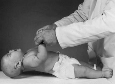 Traction Reflex Electric Lumbar Traction Device With Dynamic Airbag