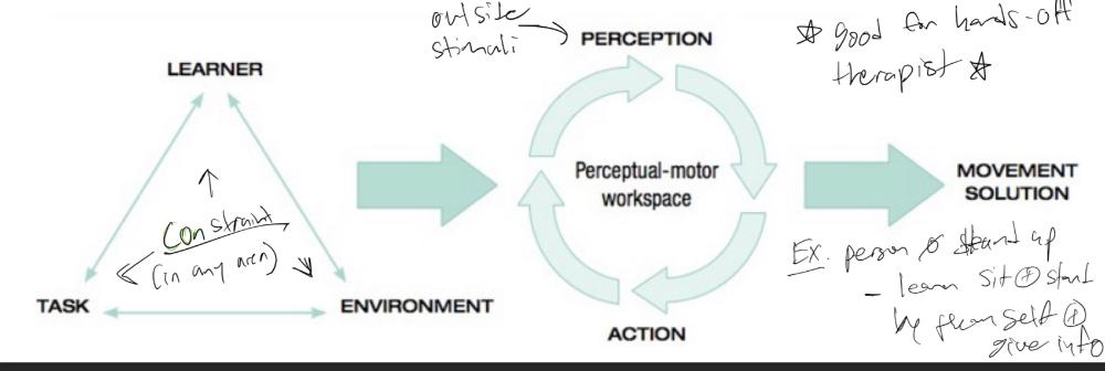 Lecture 3: Behavioral Theories (MD) Flashcards - Easy Notecards