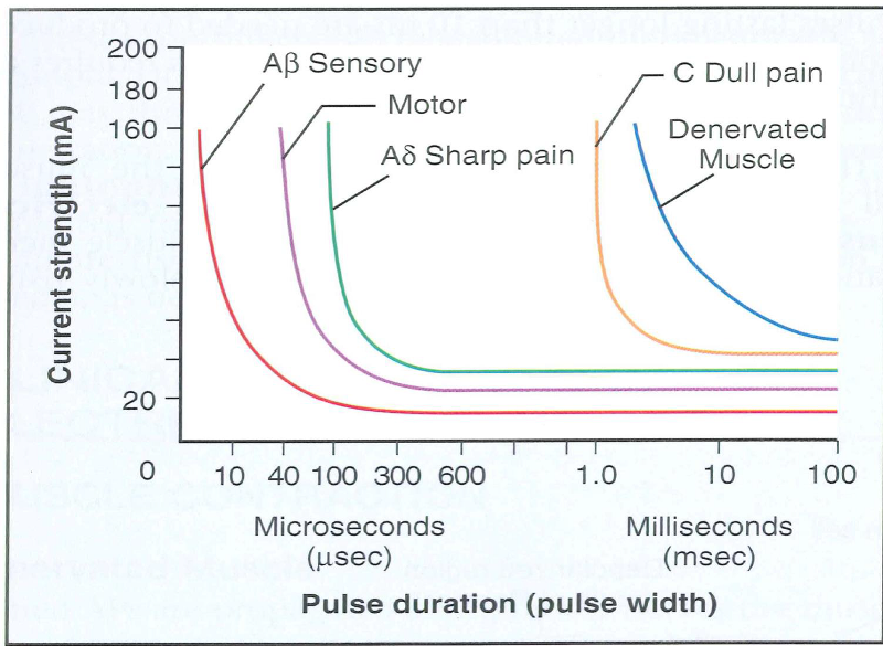 PTA 150 Exam 1 Flashcards | Easy Notecards