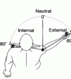 Anatomical Terms Of Movement Flexion Rotation Teachmeanatomy