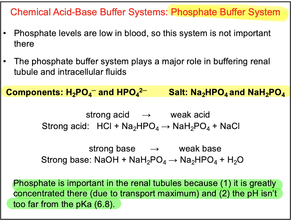 Kidney 3 Acid base Balance In Class Questions Flashcards Easy Notecards