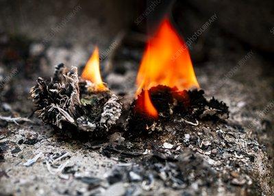 Unit 5 Week 4 Volcano Wakes Up! Flashcards - Easy Notecards